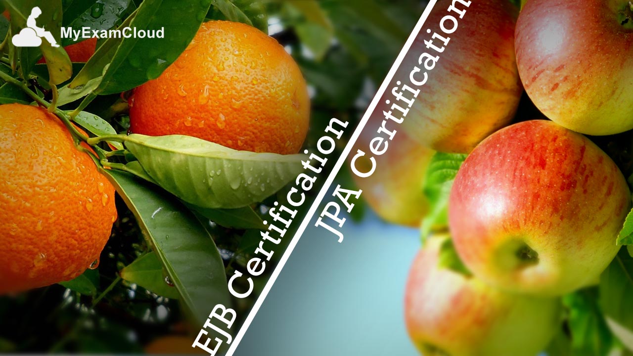 Which is better, EJB Certification or JPA Certification? - MyExamCloud